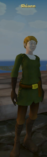 Shiann | Villagers and Heroes Reborn – Wiki | Fandom