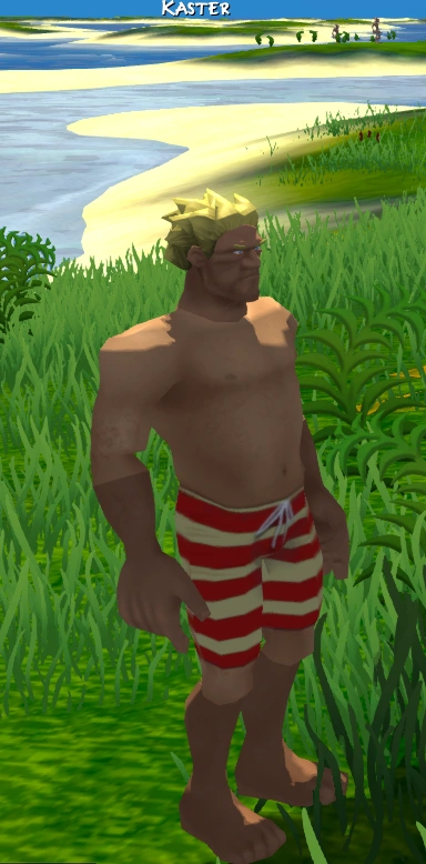 Kaster | Villagers and Heroes Reborn – Wiki | Fandom