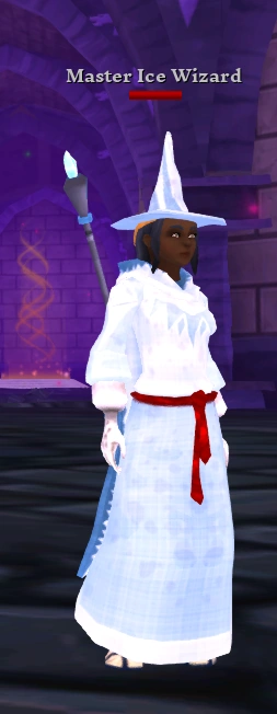 Master Ice Wizard | Villagers and Heroes Reborn – Wiki | Fandom