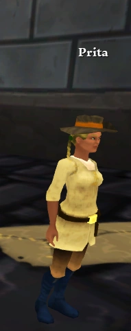 Prita | Villagers and Heroes Reborn – Wiki | Fandom