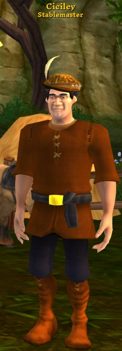 Ciciley | Villagers and Heroes Reborn – Wiki | Fandom