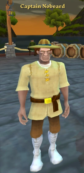 Captain Nobeard | Villagers and Heroes Reborn – Wiki | Fandom