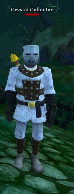Crystal Collector | Villagers and Heroes Reborn – Wiki | Fandom