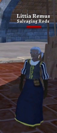 Littia Remus | Villagers and Heroes Reborn – Wiki | Fandom