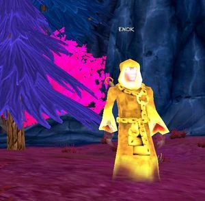 Enok | Villagers and Heroes Reborn – Wiki | Fandom