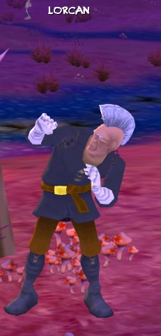 Lorcan | Villagers and Heroes Reborn – Wiki | Fandom