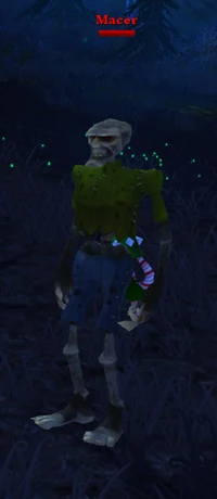 Macer | Villagers and Heroes Reborn – Wiki | Fandom