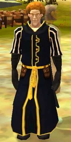 Timalin | Villagers and Heroes Reborn – Wiki | Fandom