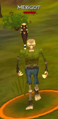 Merigot | Villagers and Heroes Reborn – Wiki | Fandom