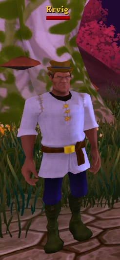 Ervig | Villagers and Heroes Reborn – Wiki | Fandom