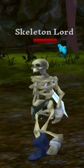 Skeleton Lord | Villagers and Heroes Reborn – Wiki | Fandom