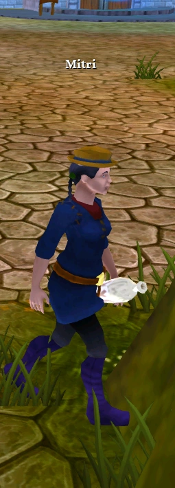 Mitri | Villagers and Heroes Reborn – Wiki | Fandom