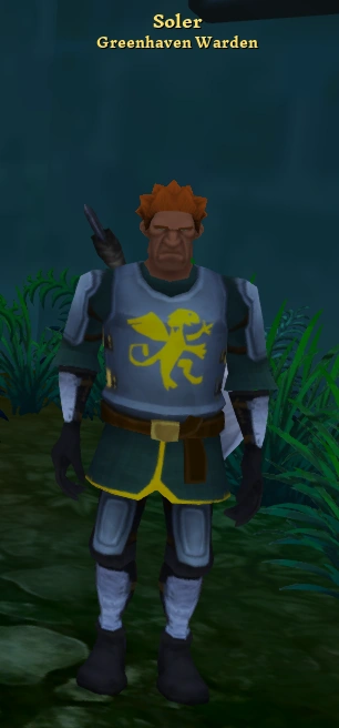 Soler | Villagers and Heroes Reborn – Wiki | Fandom