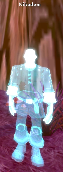 Nikodem | Villagers and Heroes Reborn – Wiki | Fandom