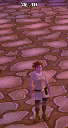 Dilulu | Villagers and Heroes Reborn – Wiki | Fandom