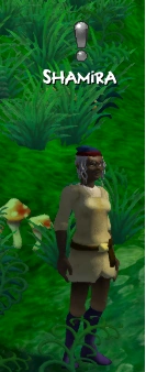 Shamira | Villagers and Heroes Reborn – Wiki | Fandom