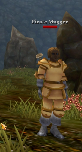 Pirate Mugger | Villagers and Heroes Reborn – Wiki | Fandom