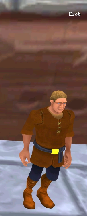 Erob | Villagers and Heroes Reborn – Wiki | Fandom