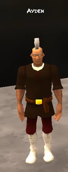 Ayden | Villagers and Heroes Reborn – Wiki | Fandom