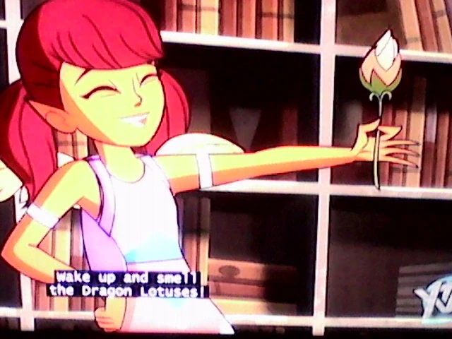 Dragon Lotus | Mysticons Wiki | Fandom