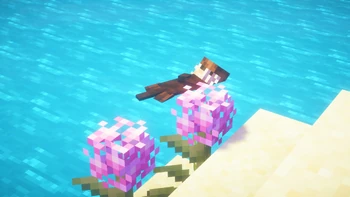 Lagoon | Mystic's Biomes Wiki | Fandom