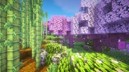 Bamboo Blossom Forest | Mystic's Biomes Wiki | Fandom