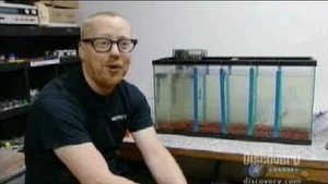 Sinking Titanic (Episode) | Mythbusters Wiki | Fandom