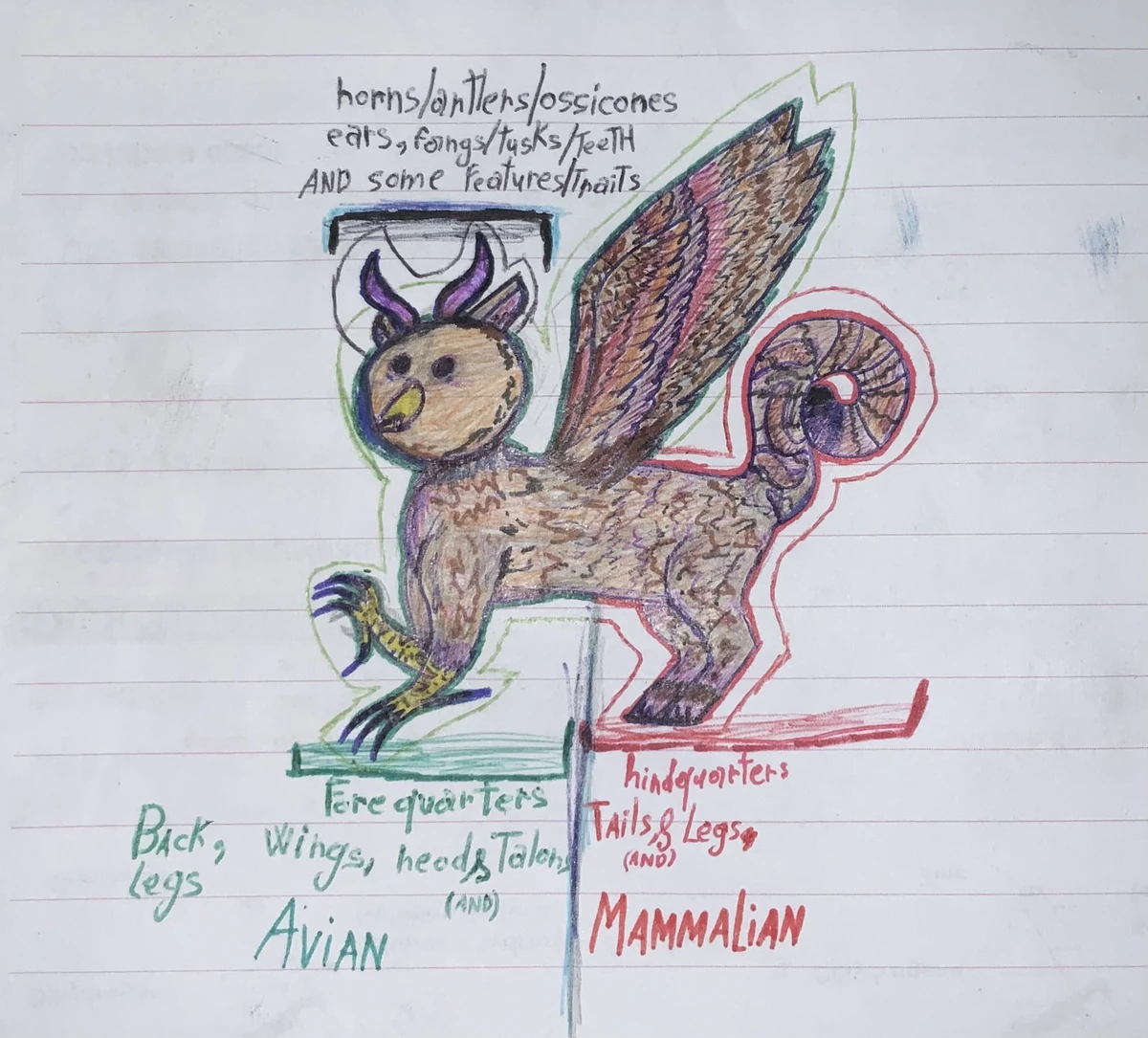 Griffin | Mythical bestiary Wikia | Fandom