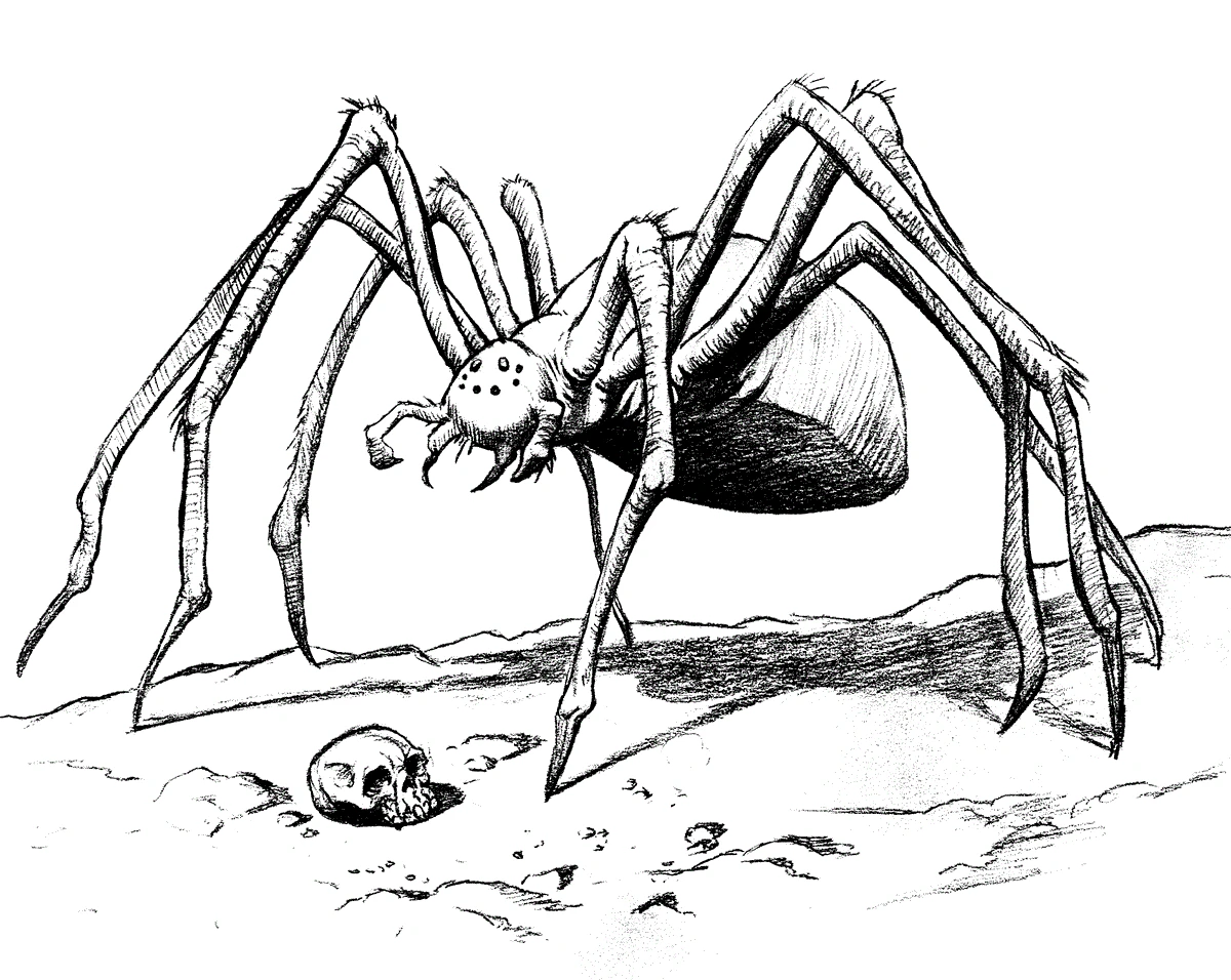 Cave Spiders | Myth Games Wiki | Fandom