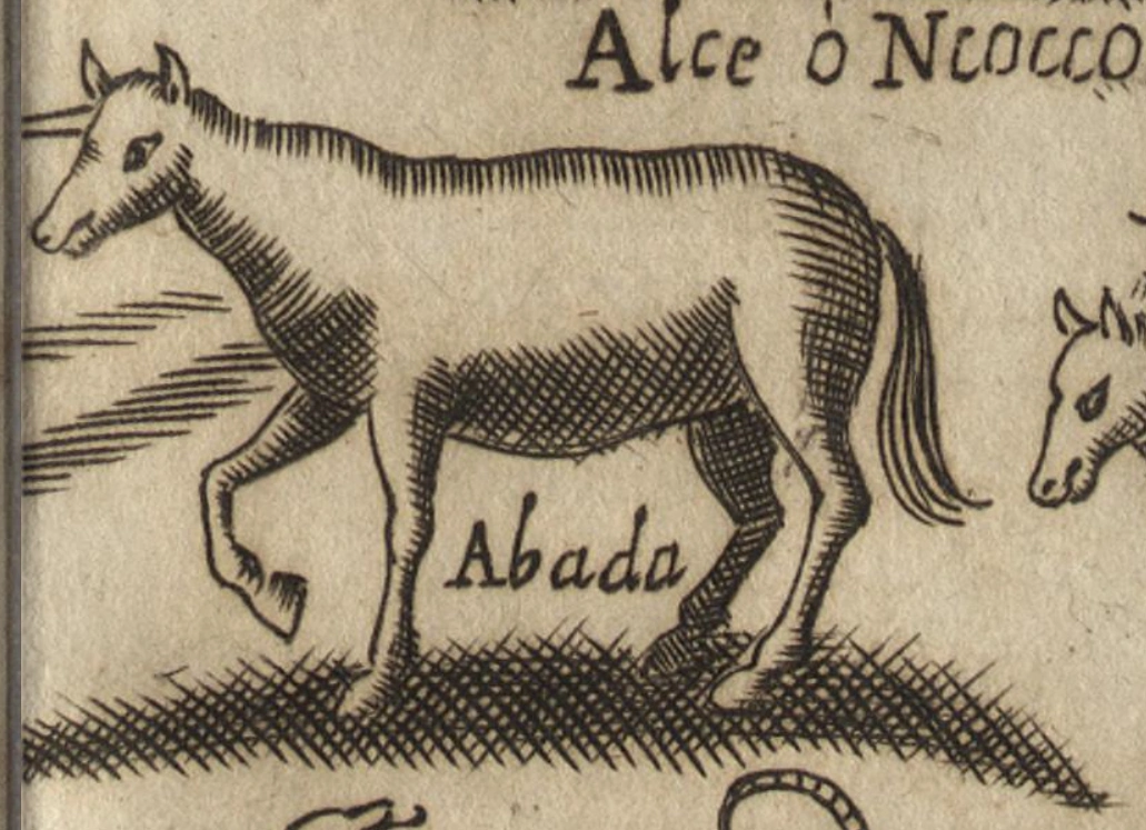 Abada | Mythologia Wiki | Fandom