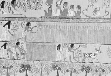 Aaru | Mythologia Wiki | Fandom