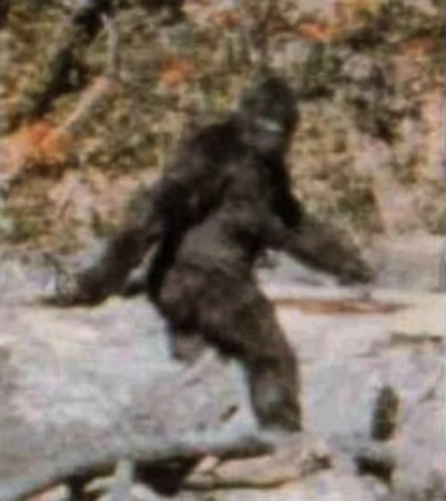 Bigfoot | Mythology Database Wiki | Fandom