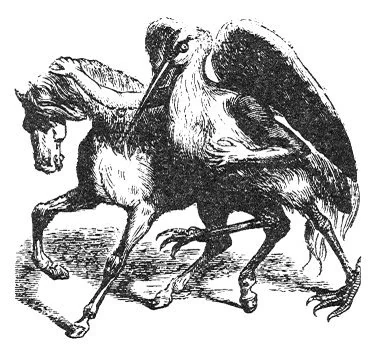 Shax | Myth and Folklore Wiki | Fandom