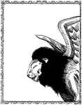 Vapula | Myth and Folklore Wiki | Fandom
