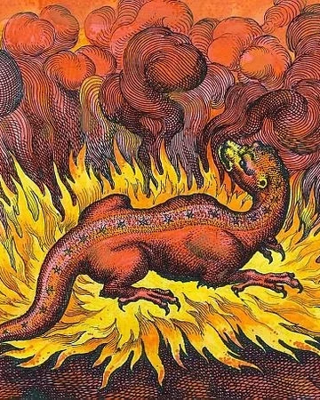 Fire Salamander Elemental