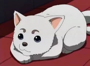 Inugami | Myth and Folklore Wiki | Fandom