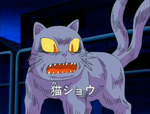 Nekomata | Myth and Folklore Wiki | Fandom