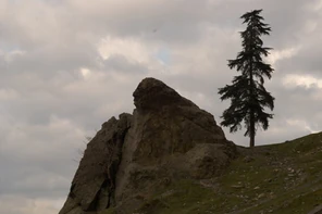 House of Atreus | Myth and Folklore Wiki | Fandom