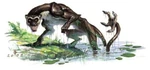 Ahuizotl | Myth and Folklore Wiki | Fandom