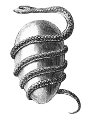 Orphic religion | Myth and Folklore Wiki | Fandom