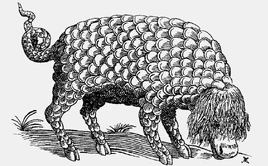 Catoblepas | Myth and Folklore Wiki | Fandom