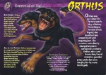 Orthrus | Myth and Folklore Wiki | Fandom