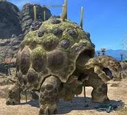 Aspidochelone | Myth and Folklore Wiki | Fandom