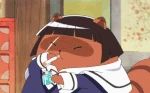 Tanuki | Myth and Folklore Wiki | Fandom