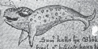 Illhveli | Myth and Folklore Wiki | Fandom