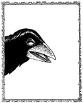 Stolas | Myth and Folklore Wiki | Fandom