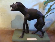 Luison | Myth and Folklore Wiki | Fandom