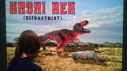 Kasai Rex Sightings