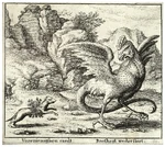 Basilisk/Gallery | Myth and Folklore Wiki | Fandom