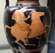 Amazons | Myth and Folklore Wiki | Fandom